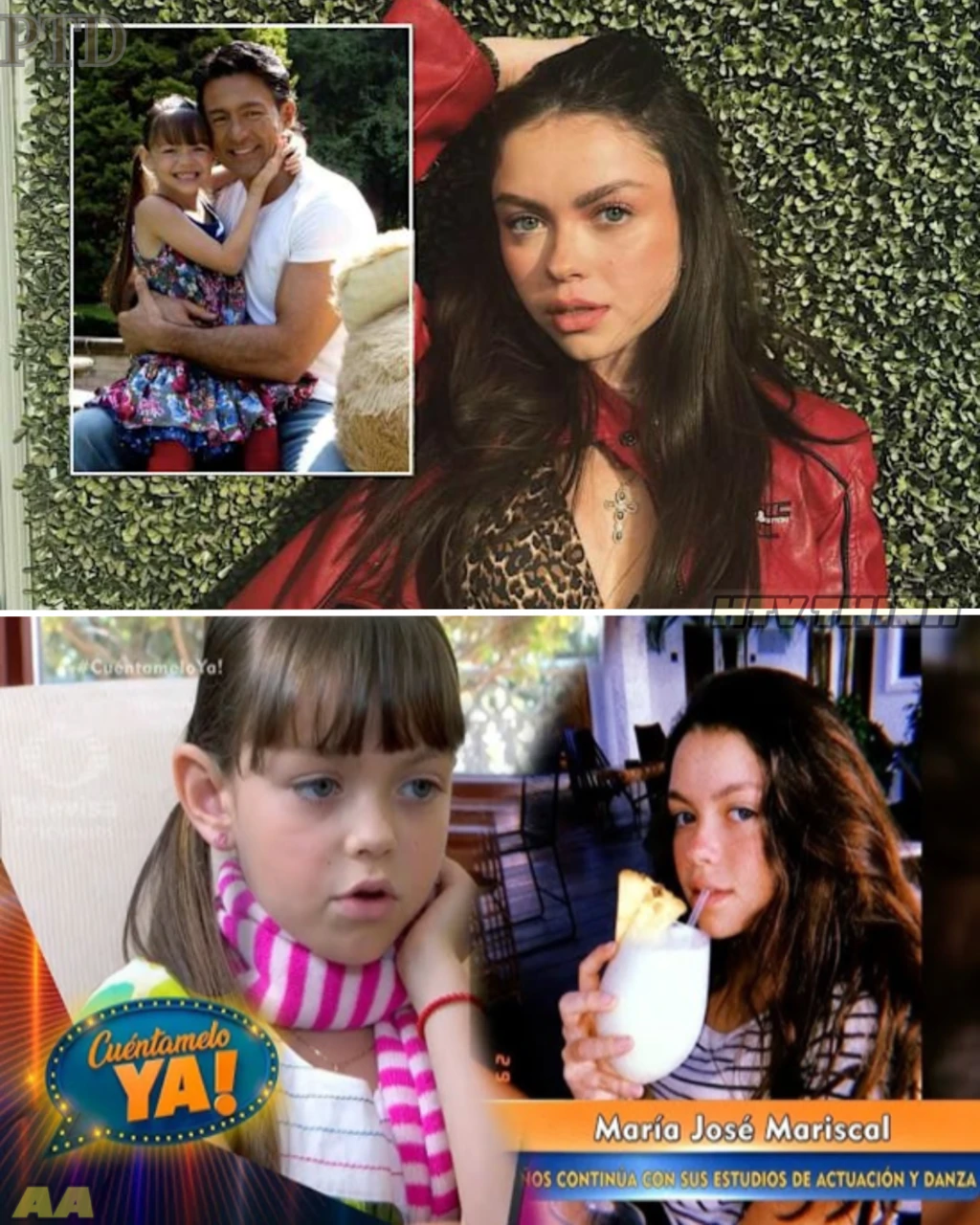 María José Mariscal - News