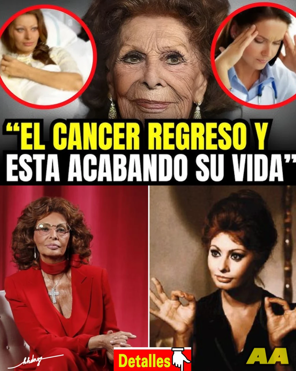 ¡Leyenda Viva en Agonía! Sophia Loren a sus Más de 90 Años Enfrenta una ...